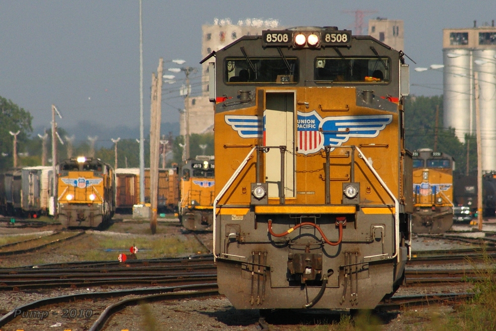 Wings Everywhere in UP Neff Yard